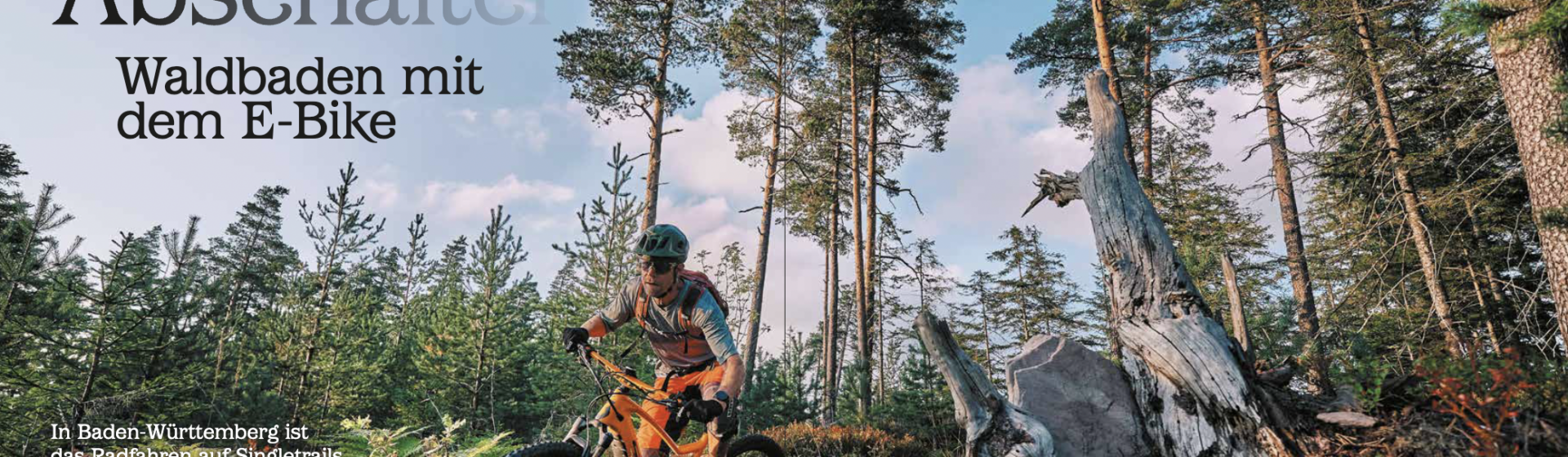 Anschalten und Abschalten - Waldbaden mit dem E-Bike - FREE MEN’S WORLD